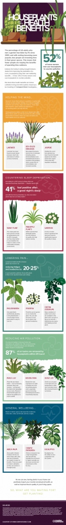 infographic – house plants and their health benefits | The IOC